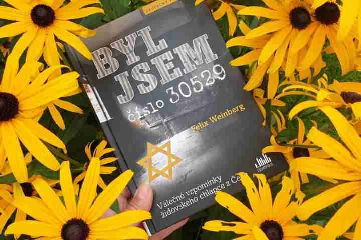 Recenze knih | Kritiky.cz